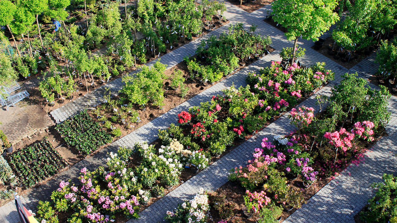 Über Uns | Botanika GmbH